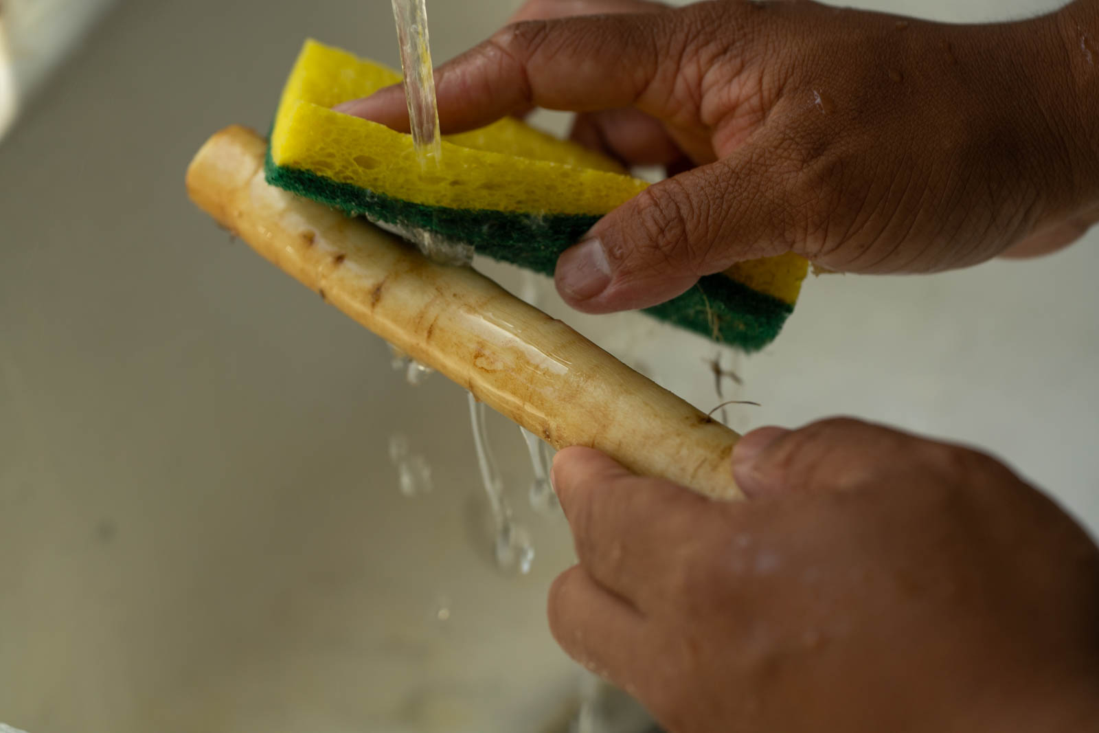 Gobo/Burdock Root: Episode One | What the F is this?! - Adventures of ...